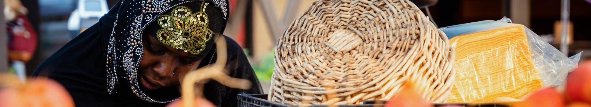 PORTFOLIO - FS Impact Finance