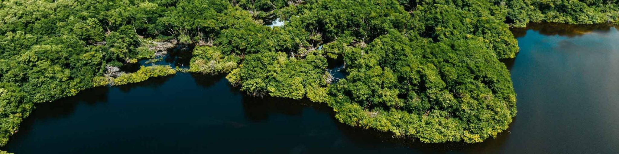 Impact Reports - FS Impact Finance